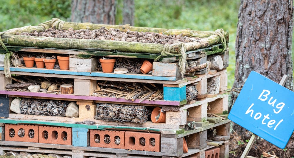 How to Build a Bug Hotel - Dwank.com